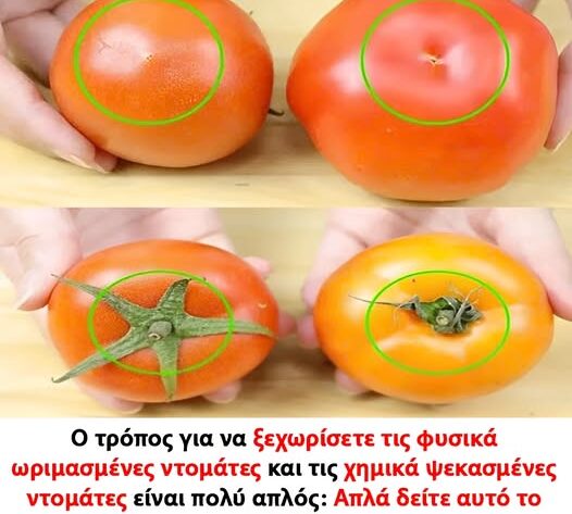 Ο τρόπος για να ξεχωρίσετε τις φυσικά ωριμασμένες ντομάτες και τις ...
