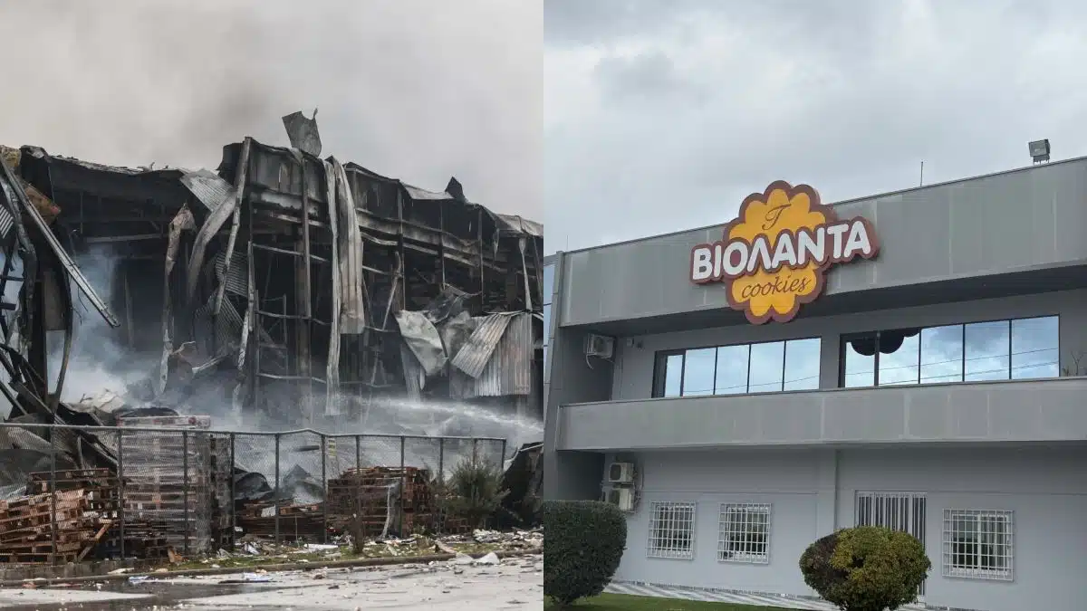 Η απόφαση που έσωσε ζωές στη Βιολάντα: Γιατί δούλευαν μόνο 12 άτομα τη ...